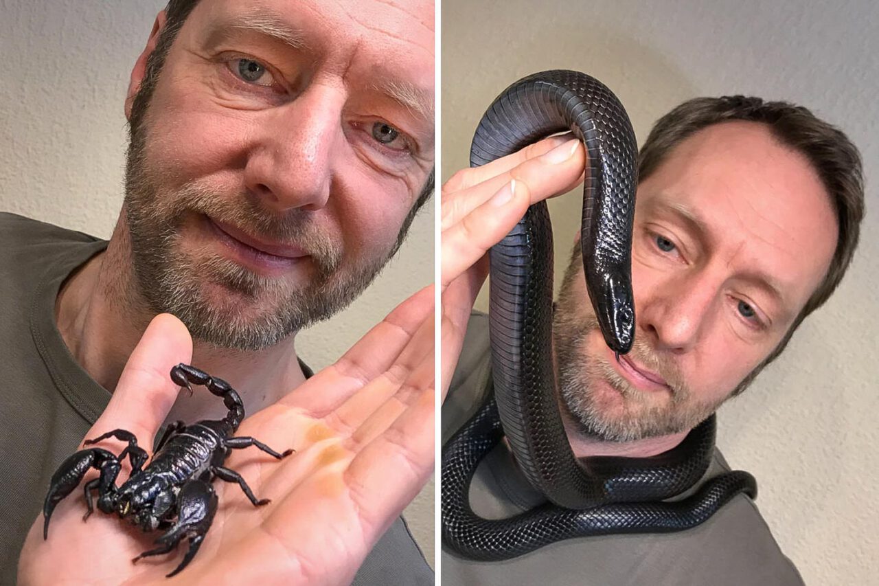 Spiders, snakes, cockroaches – my fear management | Malte Clavin